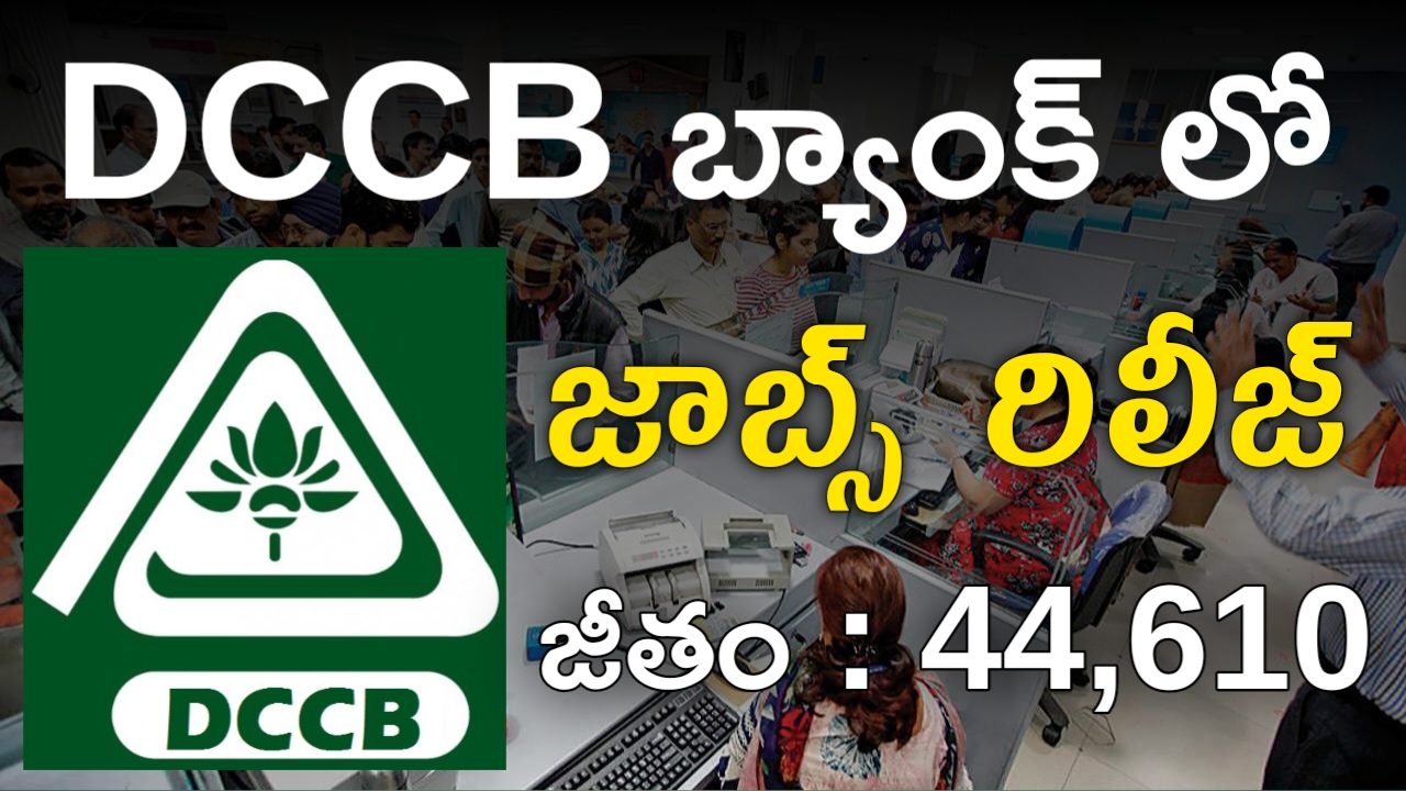 DCCB Bank Jobs రిలీజ్: నెలకు రూ.44,610 వరకు జీతం